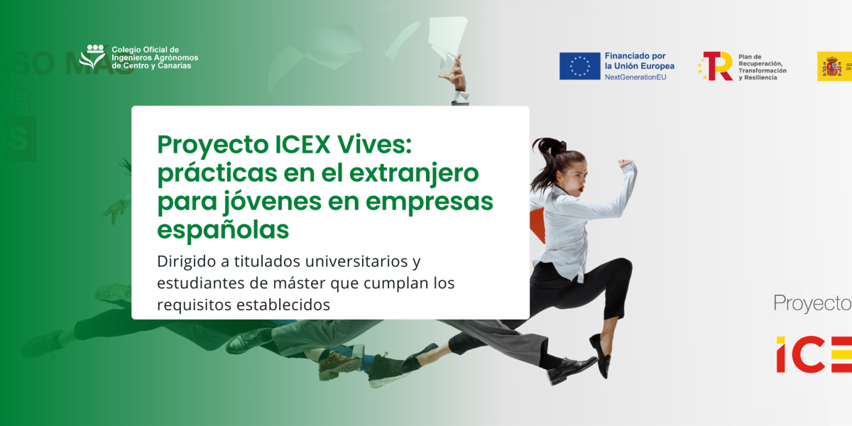 Proyecto ICEX Vives: prácticas en el extranjero para jóvenes en empresas españolas | Colegio ...